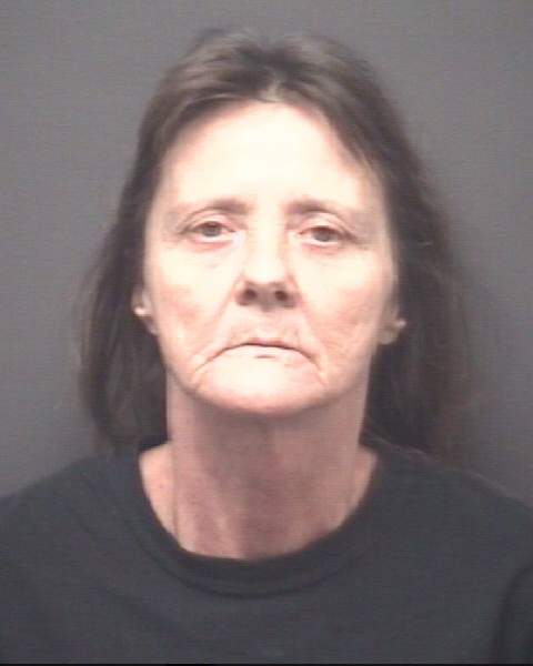 Pitt County NC -- Charges Inquiry Search Results