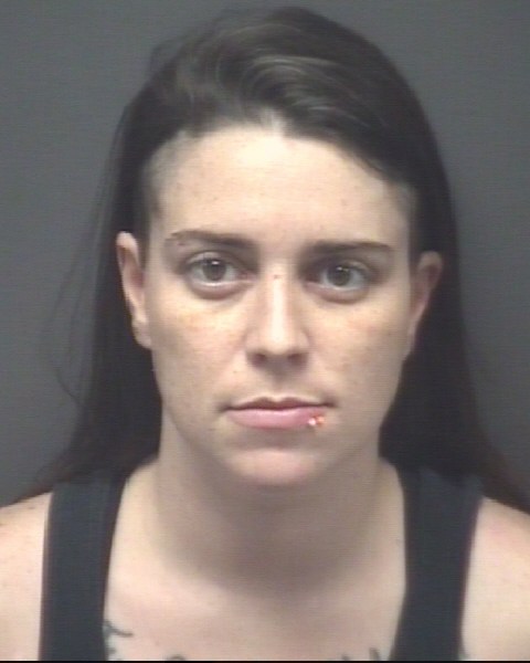 Pitt County NC -- Charges Inquiry Search Results