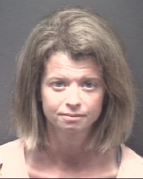 Pitt County NC -- Charges Inquiry Search Results