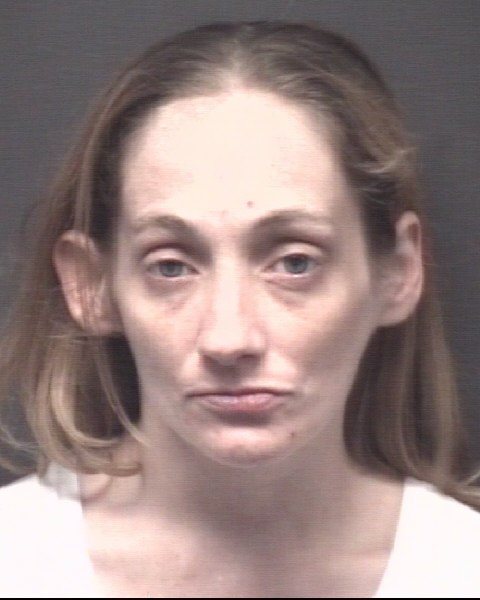 Pitt County NC -- Charges Inquiry Search Results