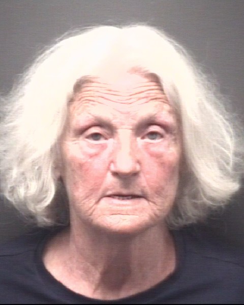 Pitt County NC -- Charges Inquiry Search Results